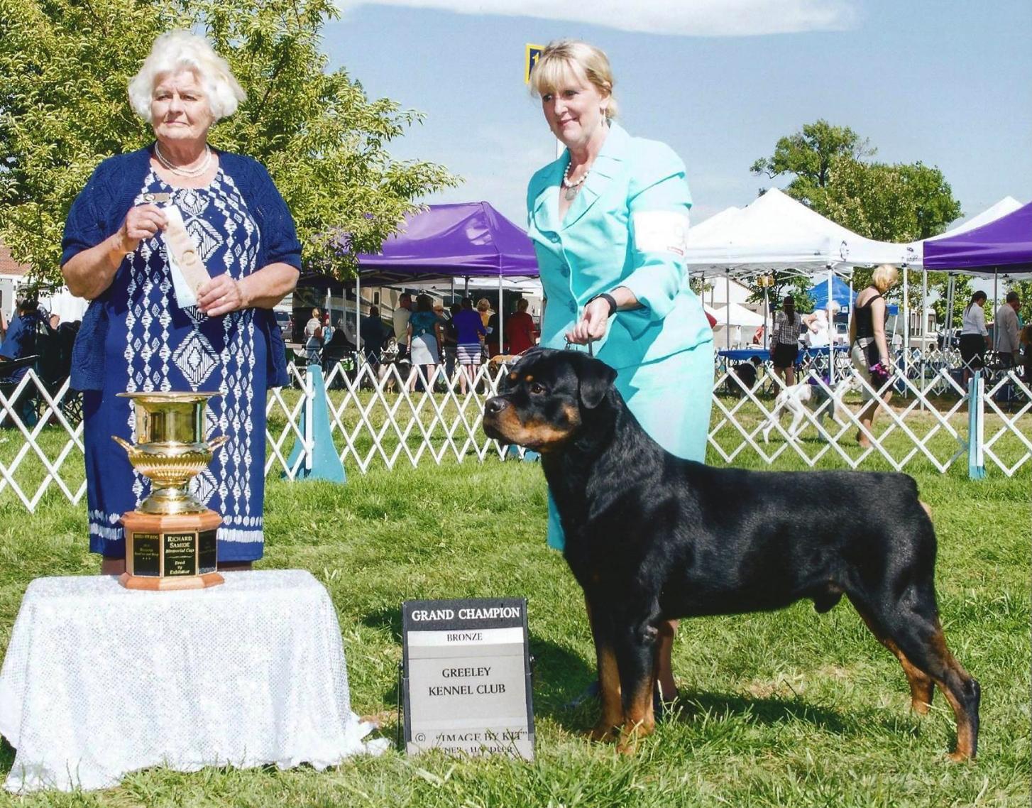 Spirit Mountain Rottweilers in Colorado | Rottweiler puppies | Good Dog