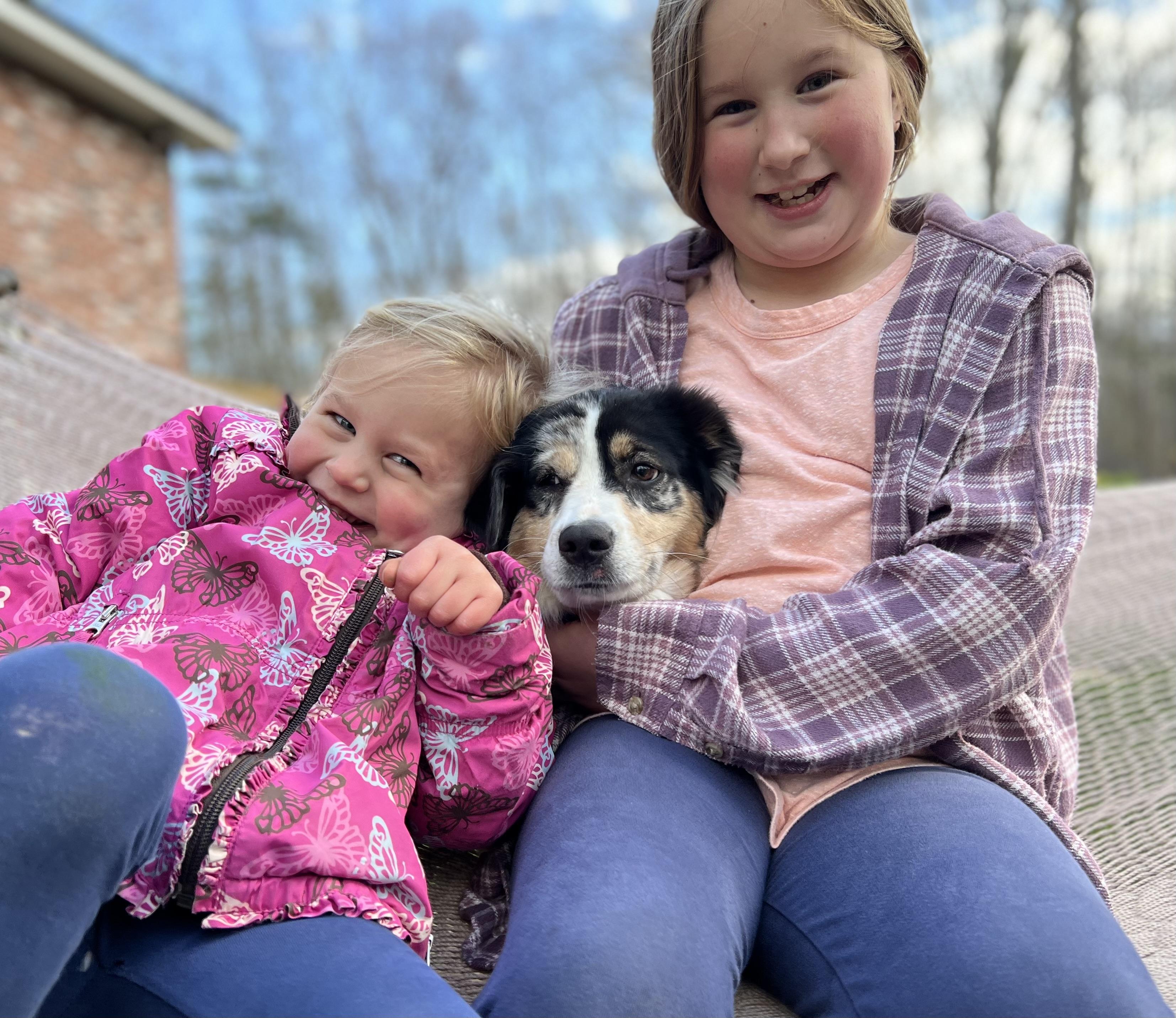 The Honest Egg Doodles in New Hampshire | Aussiedoodle puppies | Good Dog
