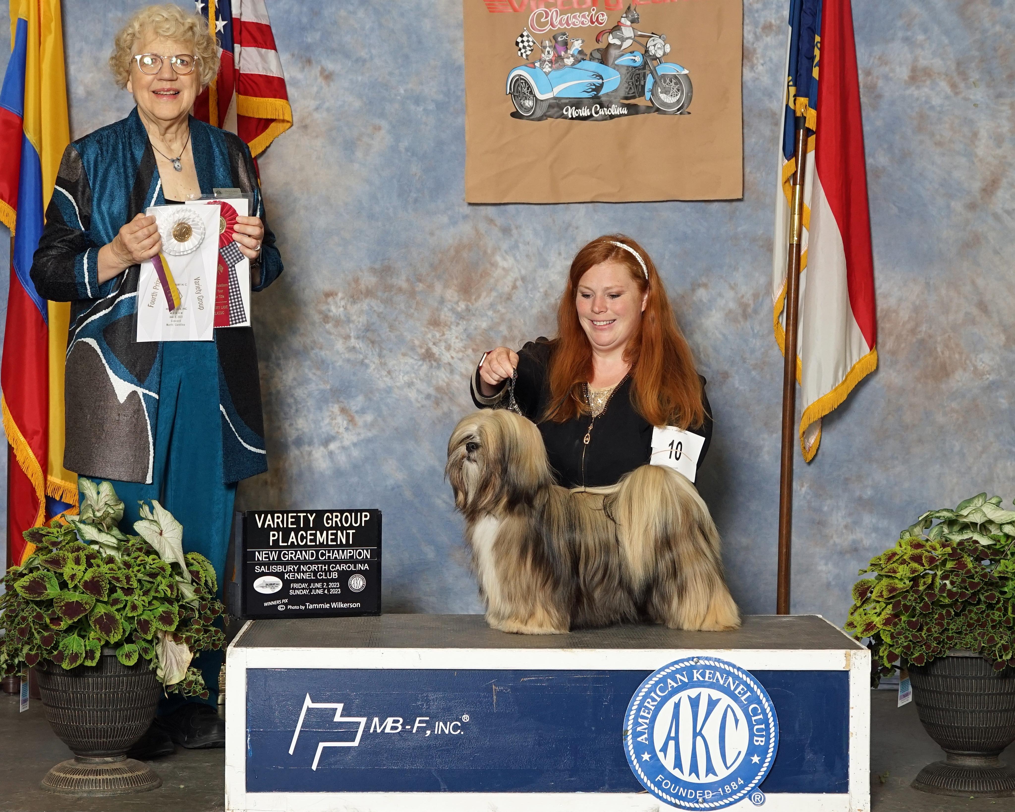 Maynard Meadows Lhasa Apsos in South Carolina | Lhasa Apso puppies ...