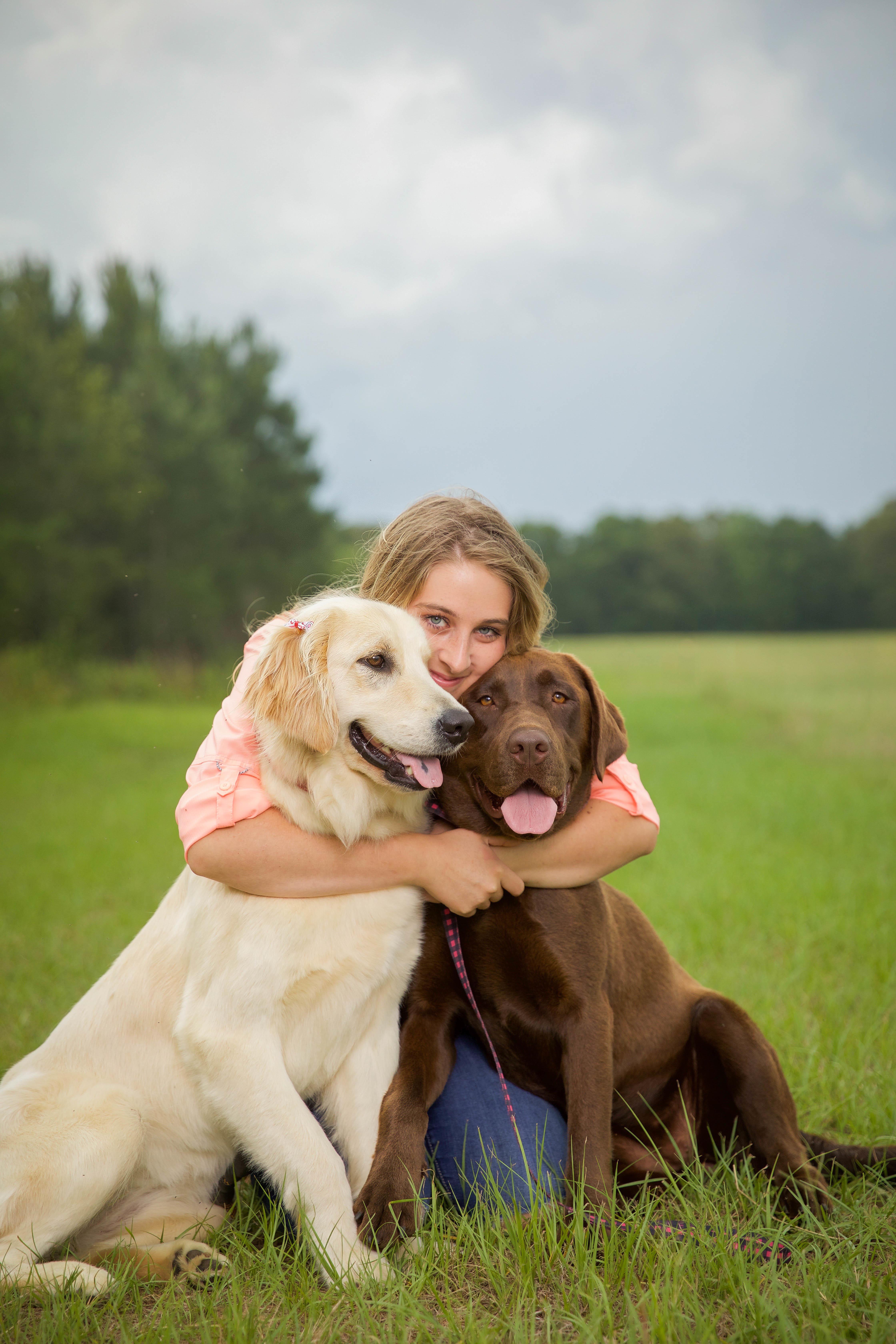 Southern Belle Kennels in Alabama | Labrador Retriever puppies | Good Dog