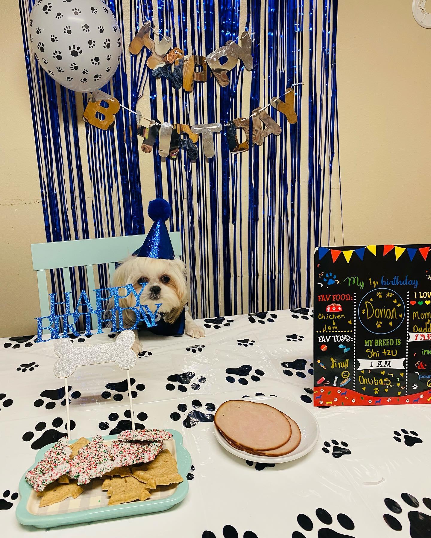Samantha's Shih Tzus in Utah | Shih Tzu puppies | Good Dog