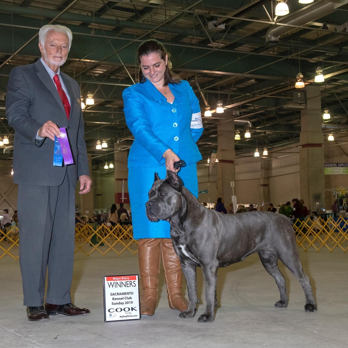 RiverStone Gardens in California | Cane Corso puppies | Good Dog