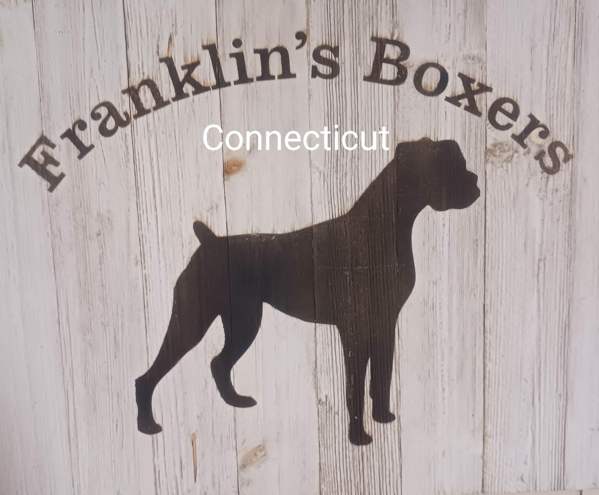 Franklin’s Boxers in Connecticut | Boxer puppies | Good Dog