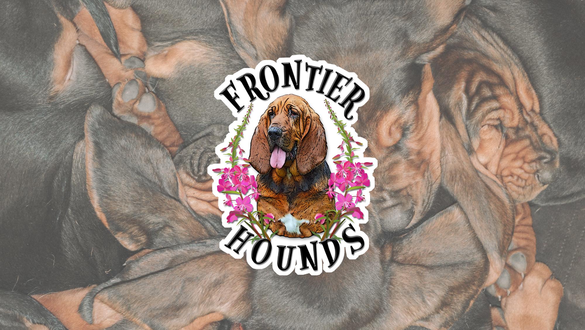 Frontier Hounds in Alaska | Bloodhound puppies | Good Dog