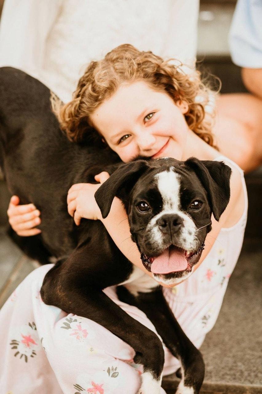 Silver Rain in Tennessee | Boxer puppies | Good Dog