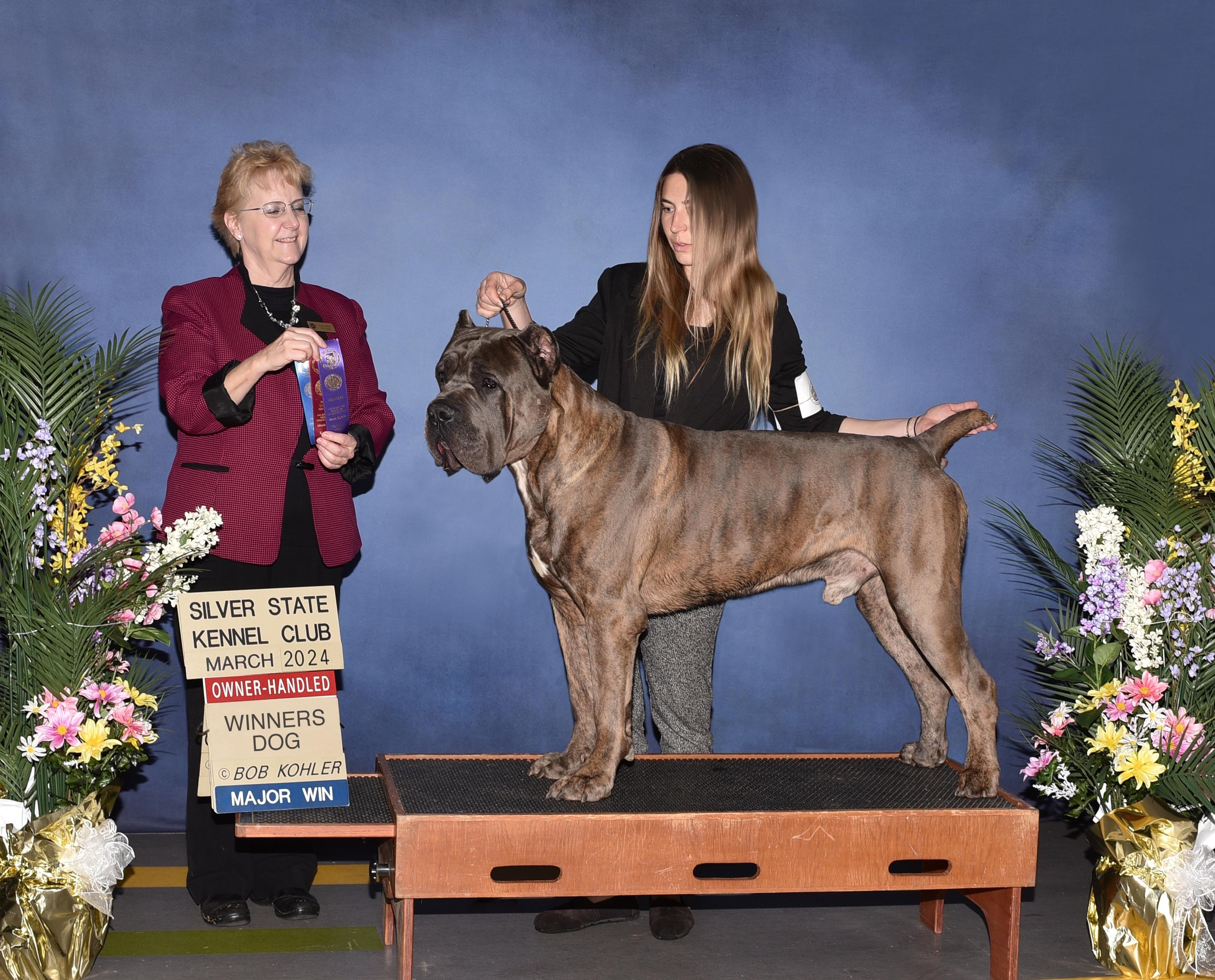 Mastiff Mafia in California | Cane Corso puppies | Good Dog