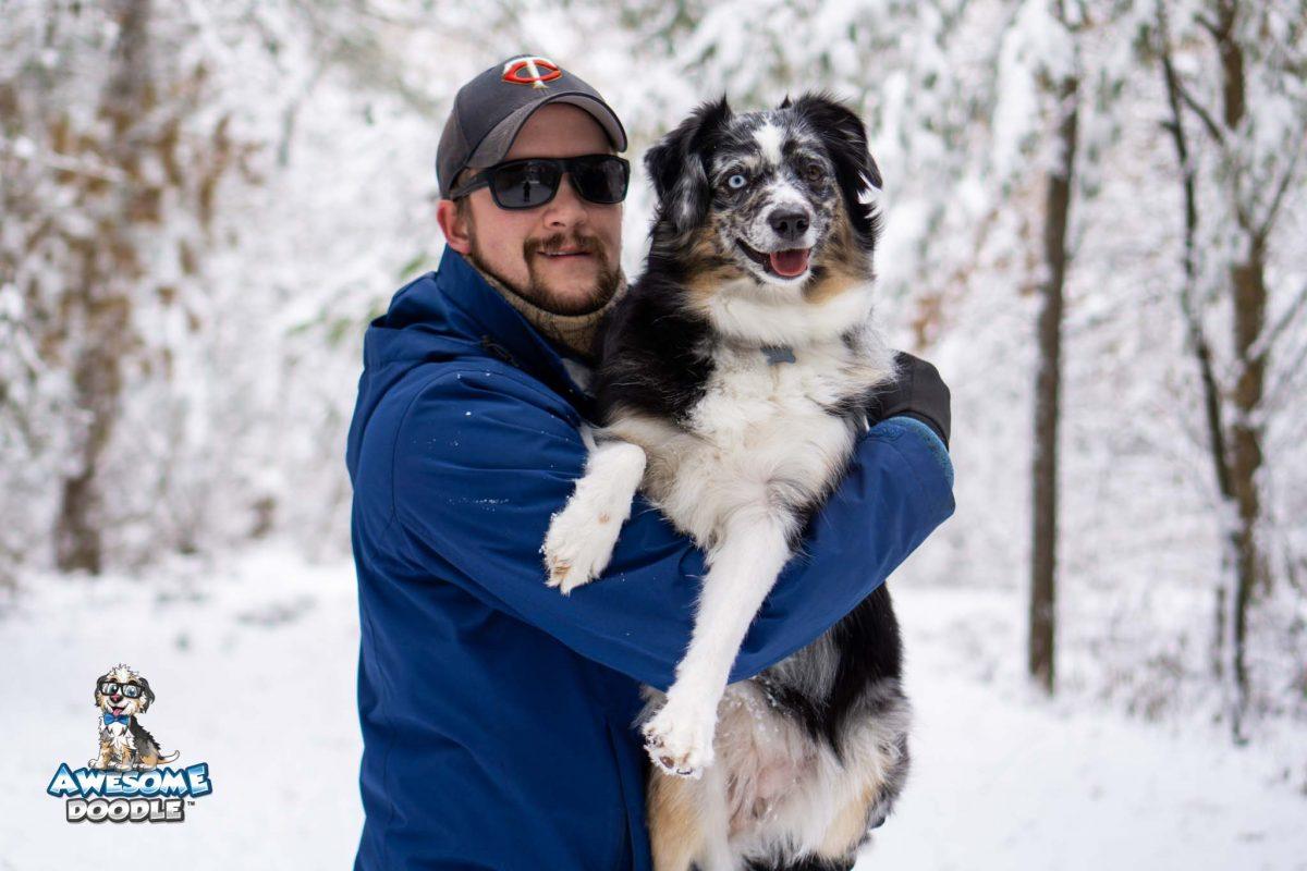 Superior AussieDoodles in Wisconsin | Poodle and Aussiedoodle puppies | Good Dog