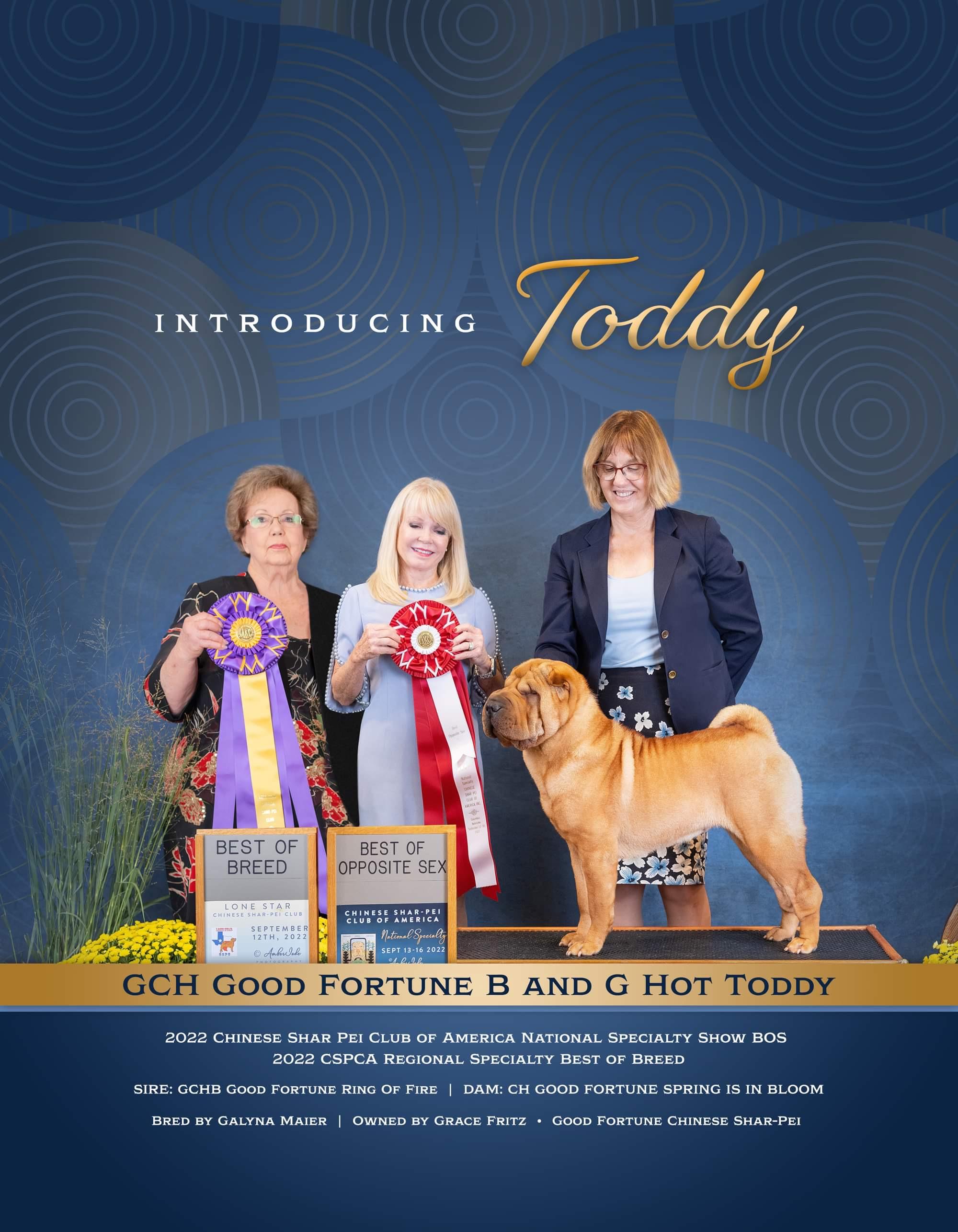 Good Fortune Shar Pei in Kansas | Chinese Shar-Pei, English Toy Spaniel ...
