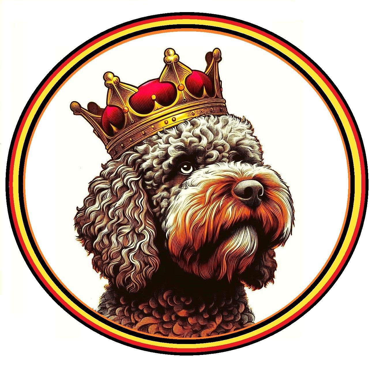 Royal and Loyal Lagotto Romagnolo in Oregon | Lagotto Romagnolo puppies ...