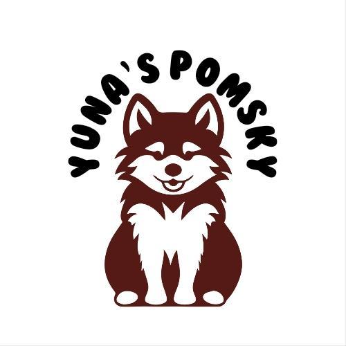 Yuna's Pomsky in Minnesota | Pomsky puppies | Good Dog