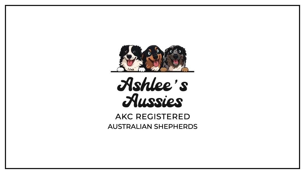 Ashlee's Aussies in Kentucky | Australian Shepherd puppies | Good Dog
