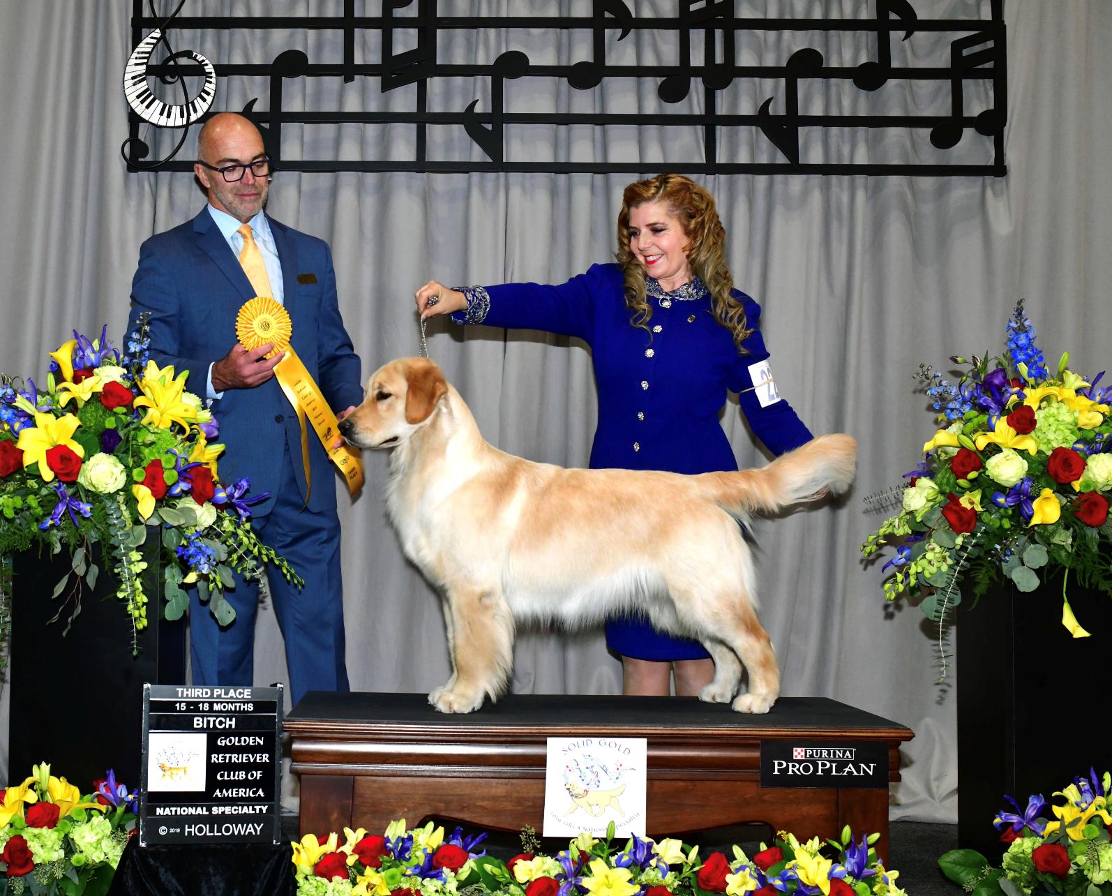 Geaux Dog in Nevada | Golden Retriever puppies | Good Dog