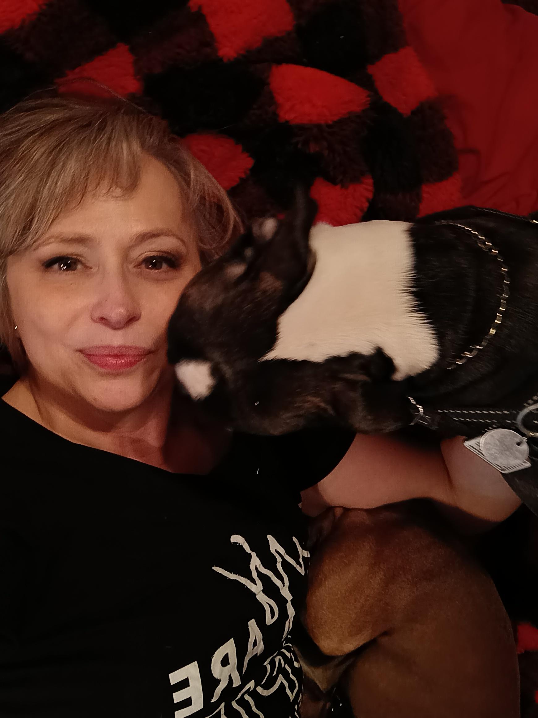 Reds Studio in Montana | Boston Terrier puppies | Good Dog