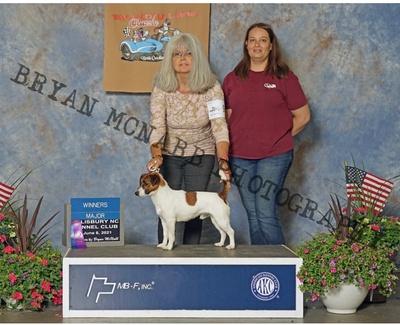 Happy Jack Farm in North Carolina | Jack Russell Terrier puppies | Good Dog