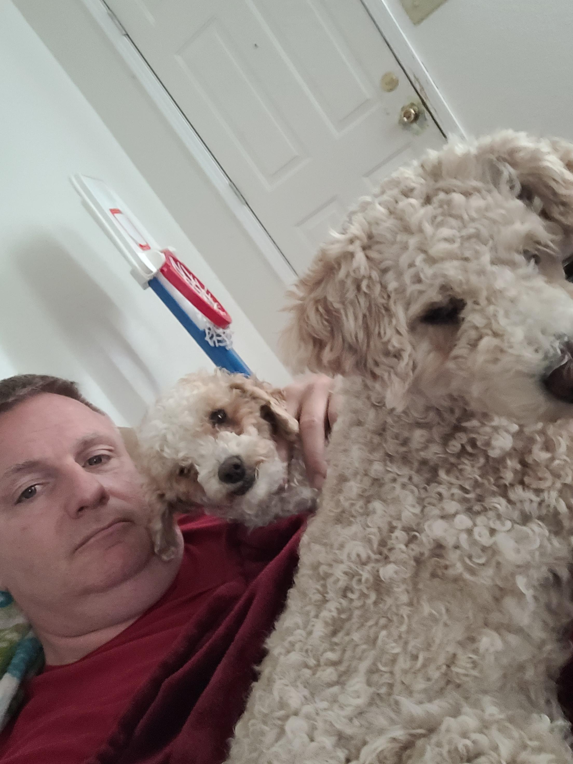 Des Moines Doodles in Iowa | Poodle puppies | Good Dog