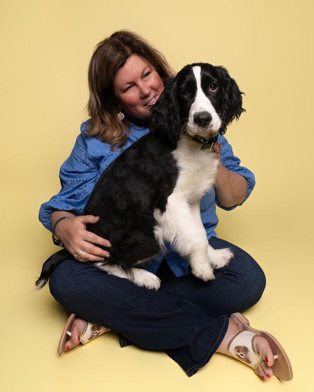Llewellyn Farms English Springer Spaniels in North Carolina | English ...
