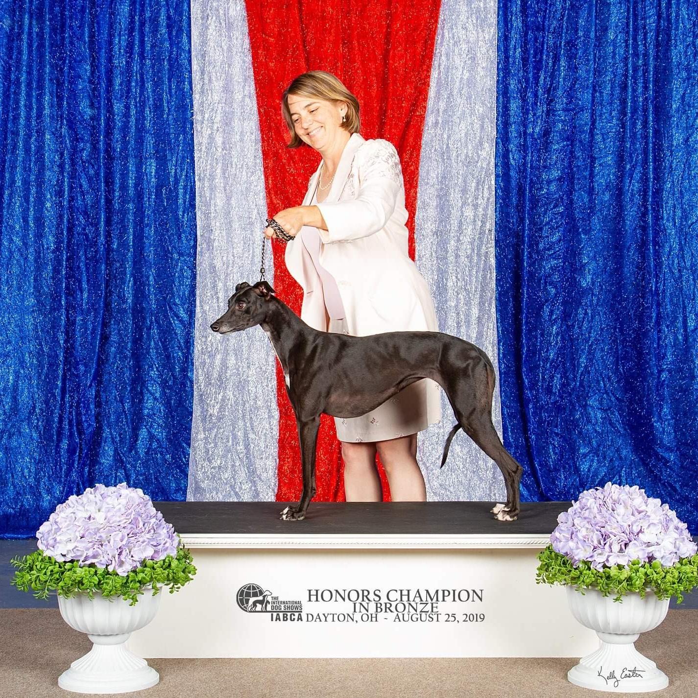 Nota Bene Whippets in Ohio | Whippet puppies | Good Dog