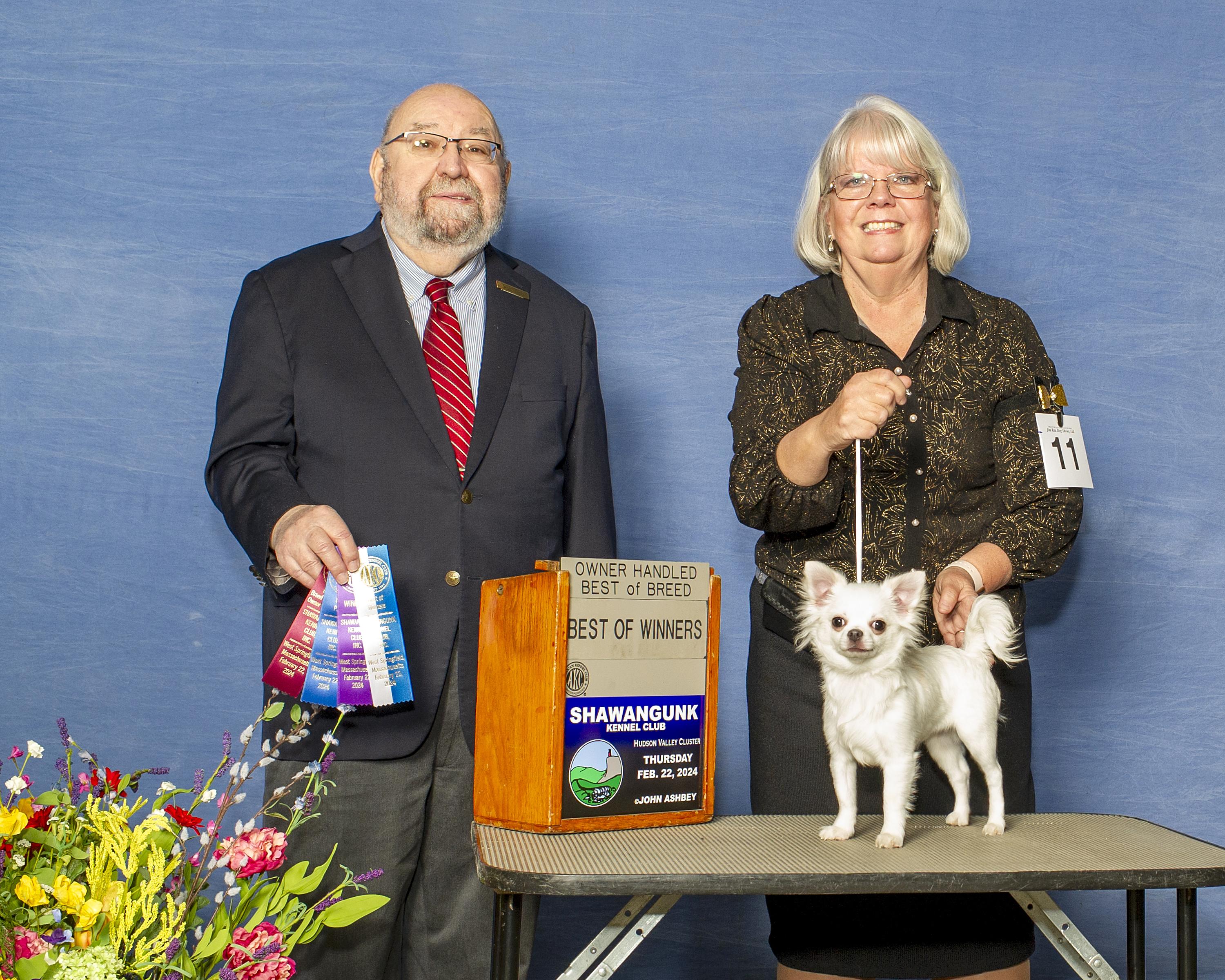 Trish Stancil in Delaware | Chihuahua puppies | Good Dog
