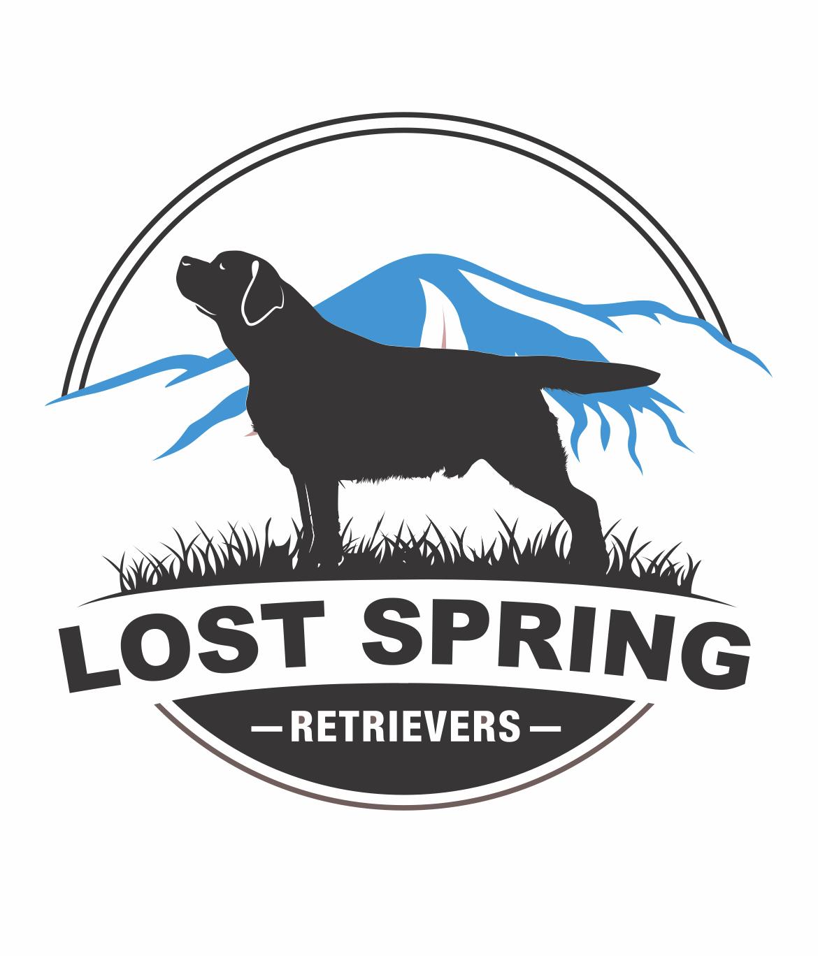Lost Spring Retrievers in Washington | Labrador Retriever puppies ...