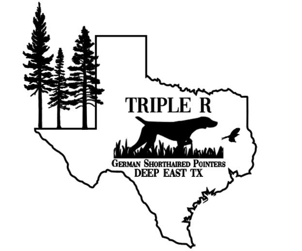 Triple R German Shorthaired Pointers in Texas | German Shorthaired ...