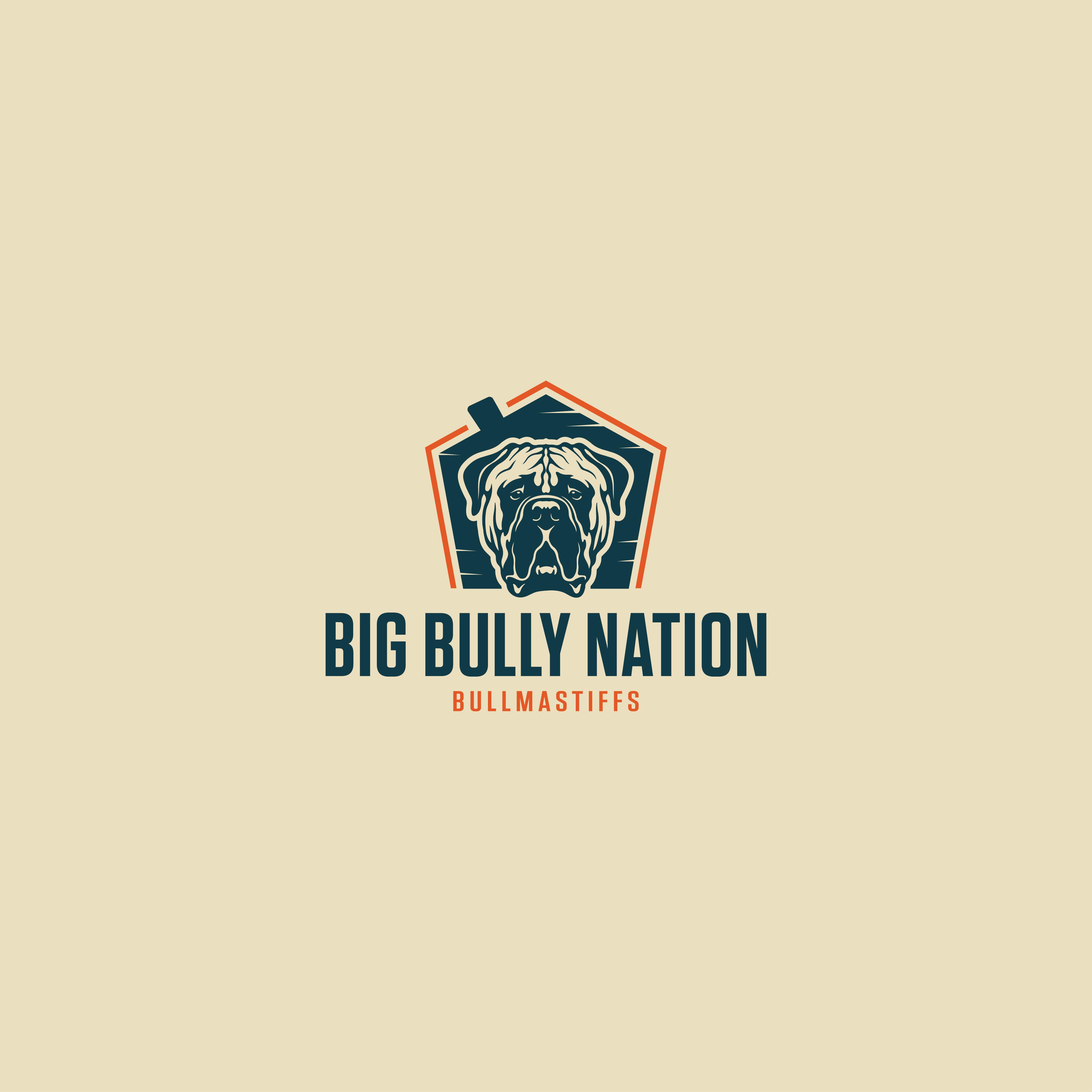 Big Bully Nation in Massachusetts | Bullmastiff puppies | Good Dog