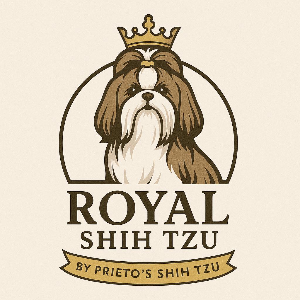 Prieto Shih-Tzu's in California | Shih Tzu puppies | Good Dog