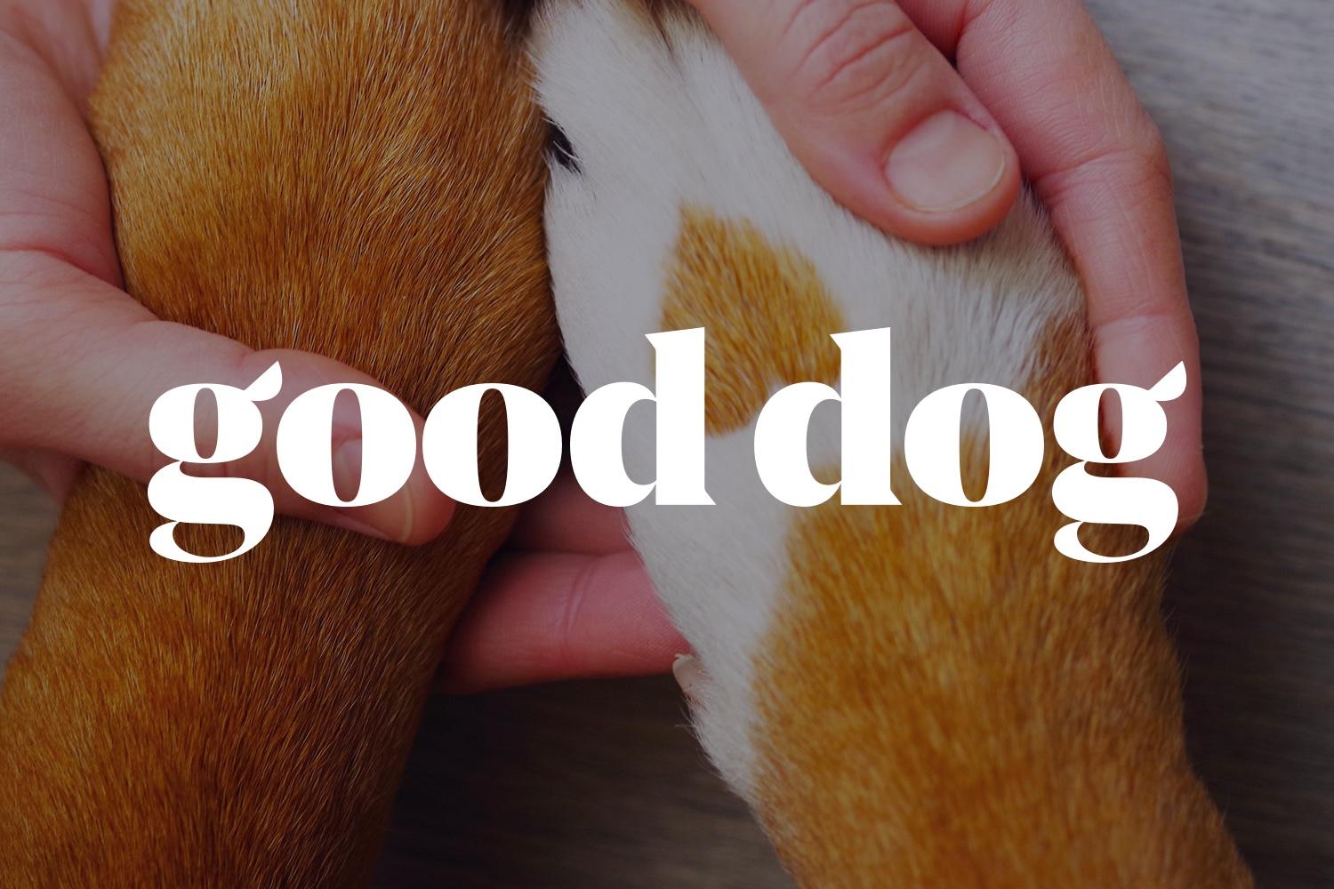 Help Center | Good Dog