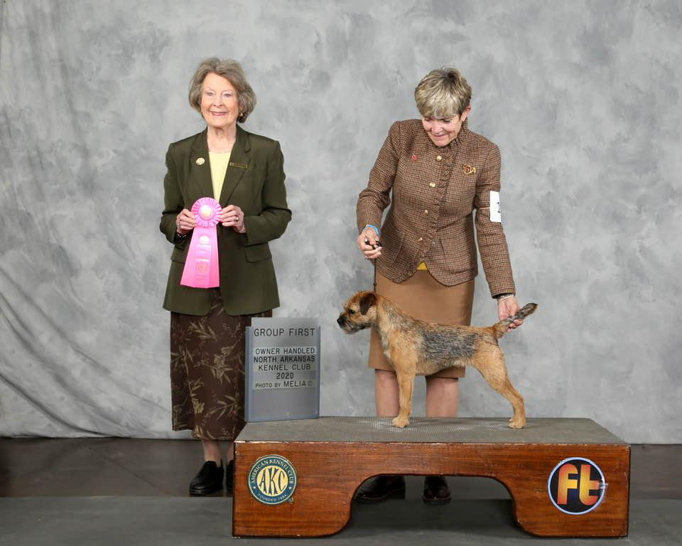 Diana Aguilar's Border Terriers in Indiana | Border Terrier puppies ...