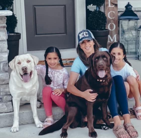 Hedge Lane Labradors in Kansas | Labrador Retriever and Dilute ...