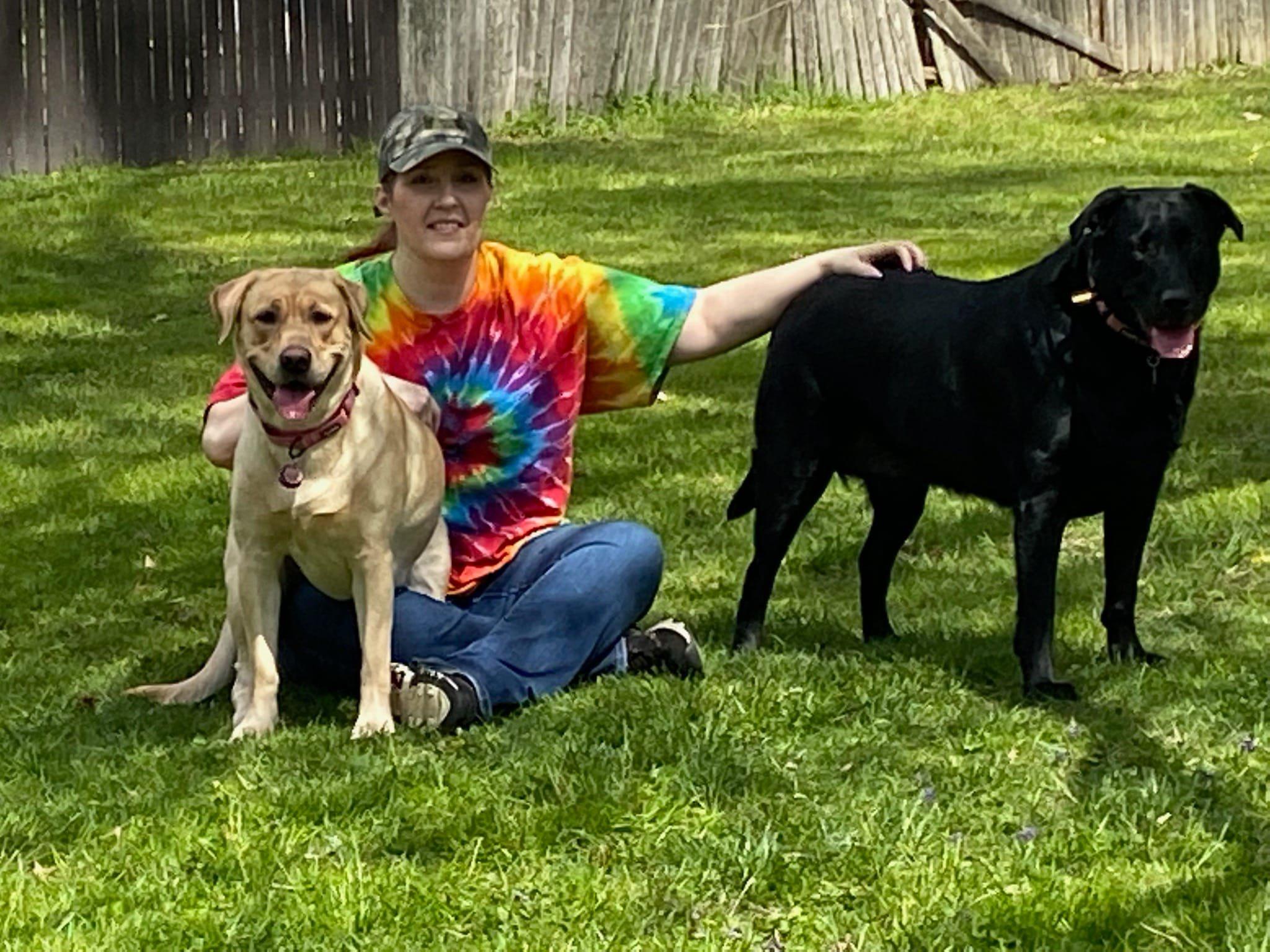 Rocky Point Yellow Labradors in Maryland | Labrador Retriever puppies ...