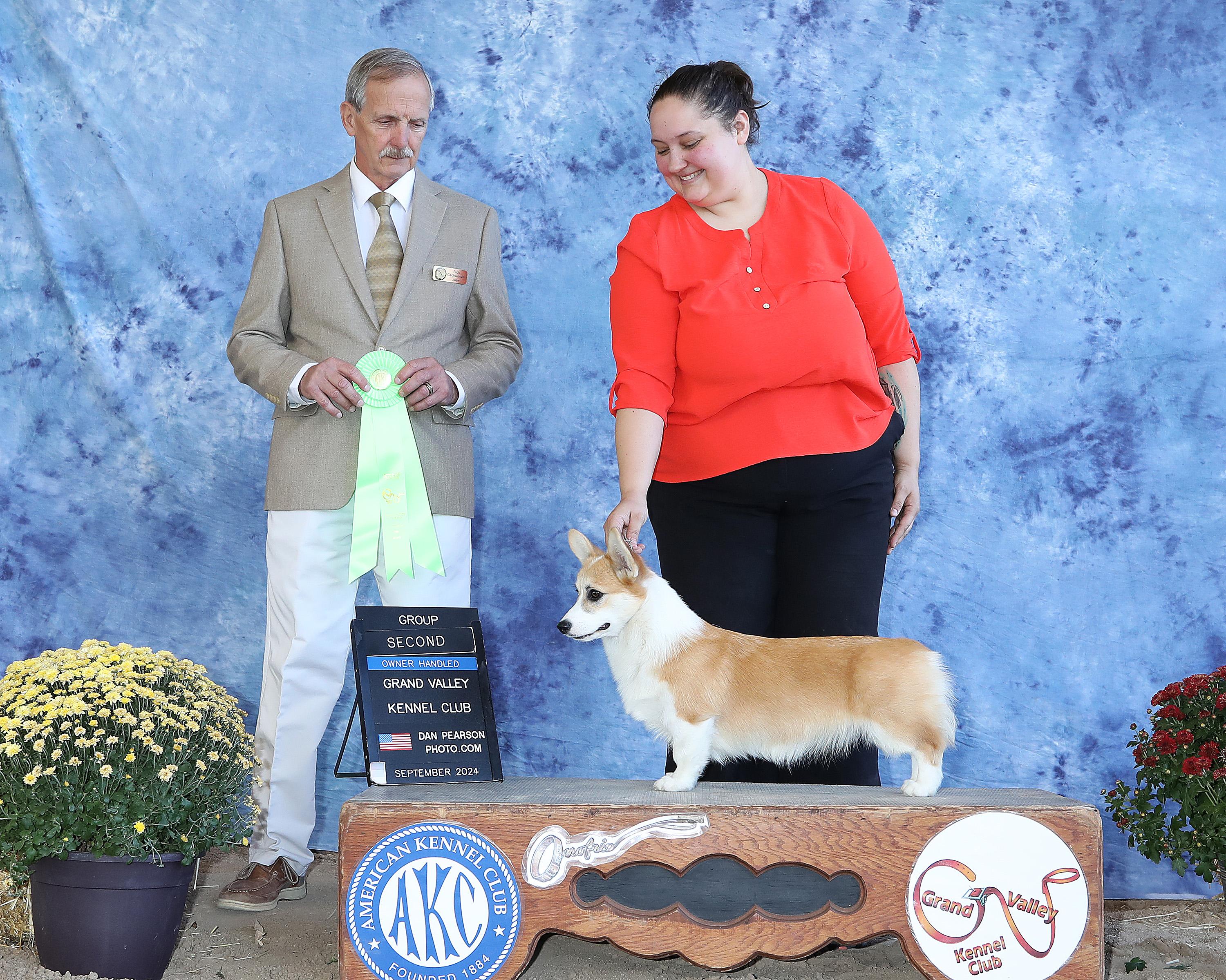 Zugspitze Corgis in Colorado | Pembroke Welsh Corgi puppies | Good Dog