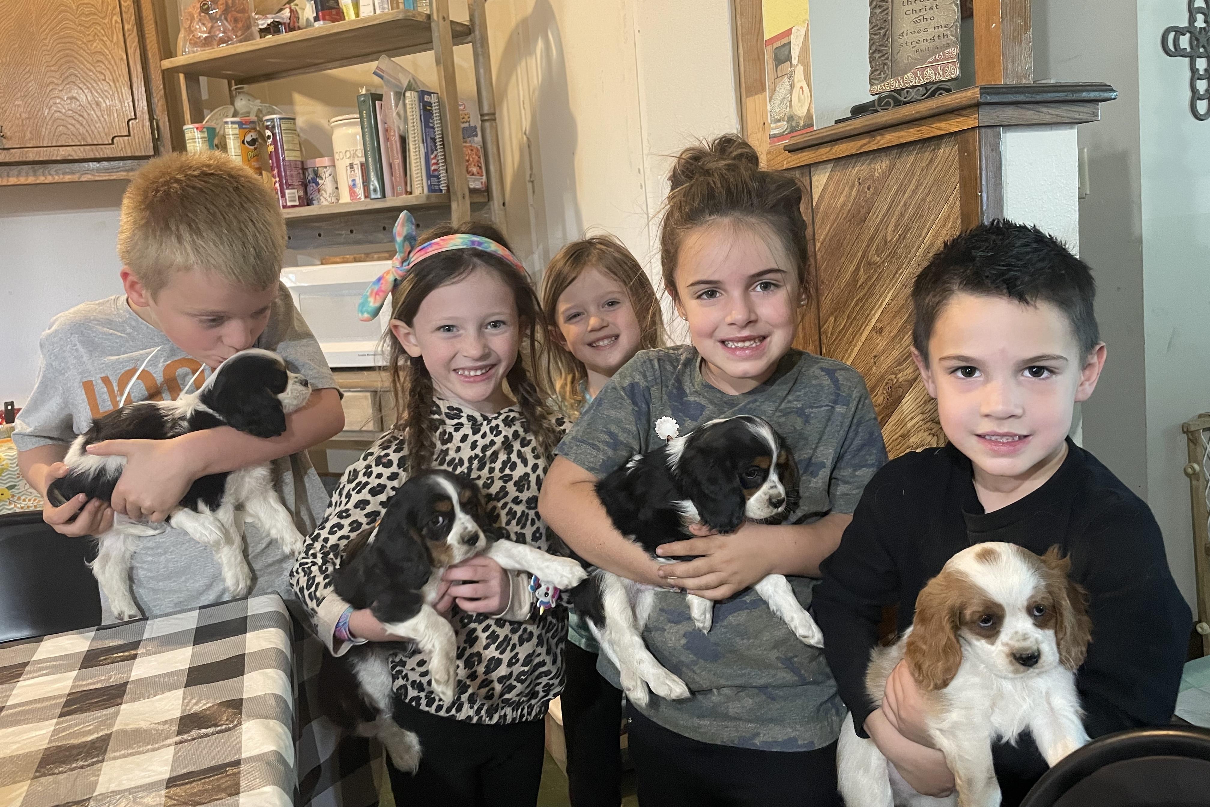 Boggy Depot Cavaliers & Friends in Oklahoma | Cavalier King Charles ...
