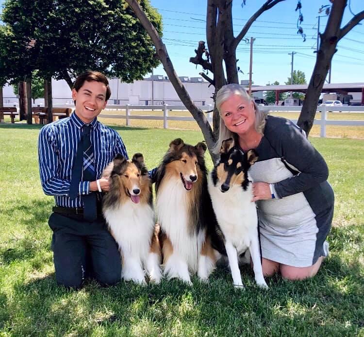 Rohde Collies & Shetland Sheepdogs in Illinois | Collie and Shetland ...