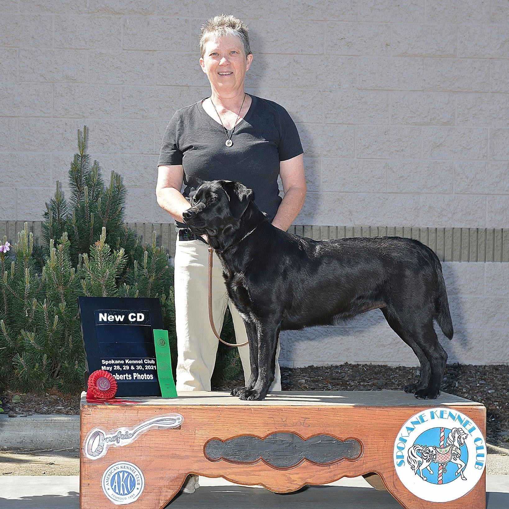 Racing Winds Pembroke and Labradors in Oregon | Labrador Retriever and ...