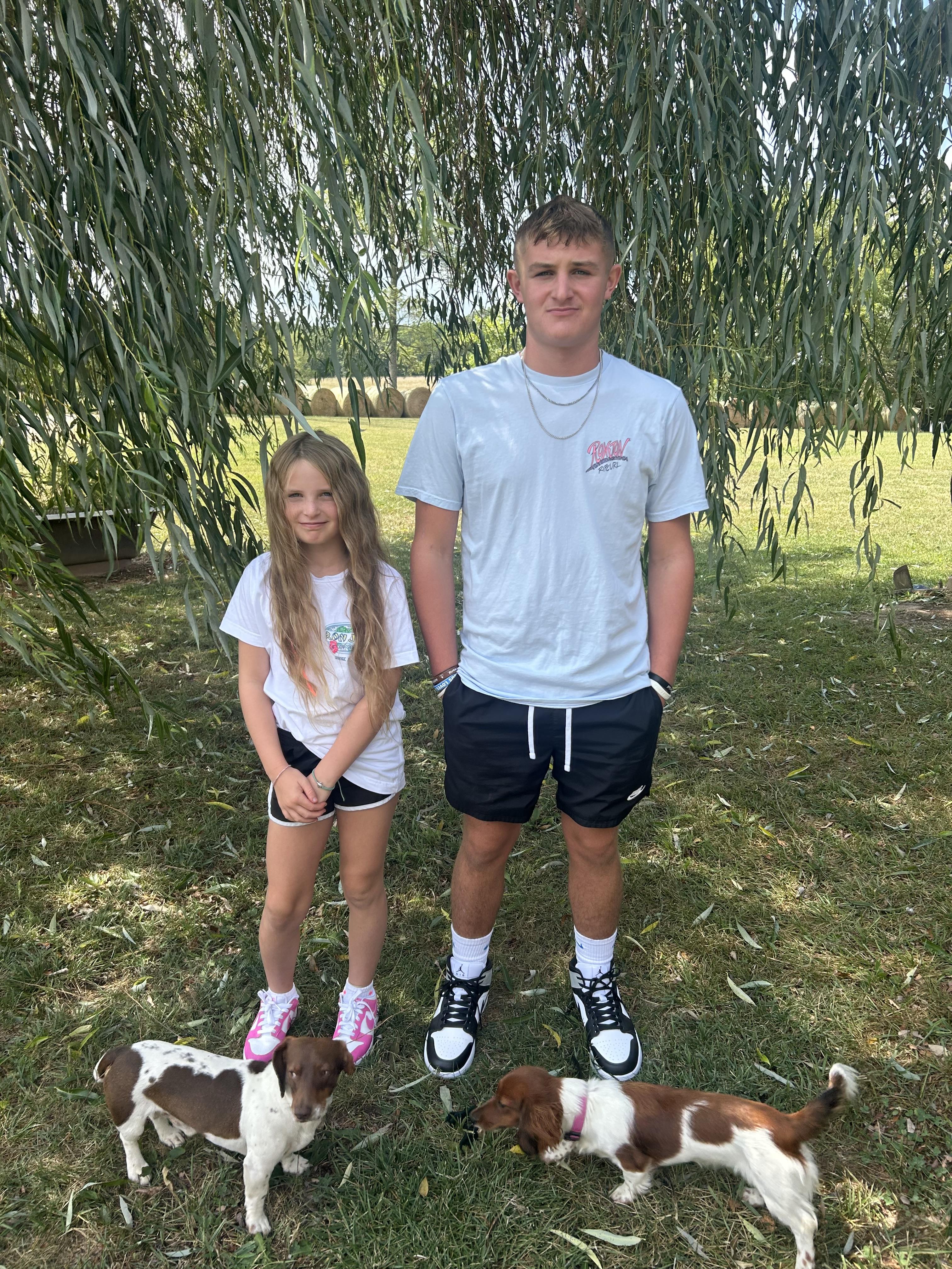 David & Stacey's Dachshunds in Missouri | Dachshund puppies | Good Dog