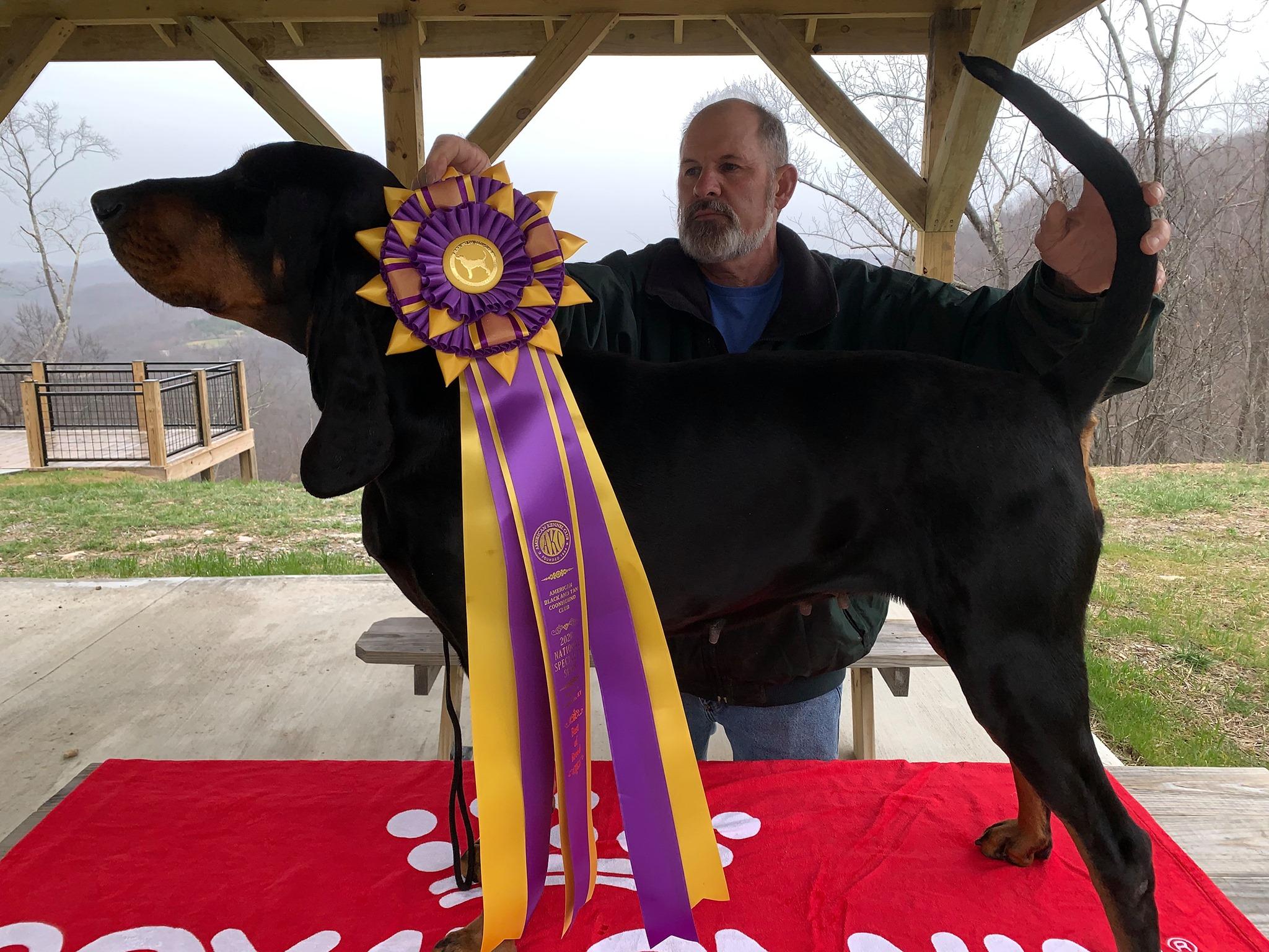 Kalan Kennel in North Carolina | Black and Tan Coonhound and French ...