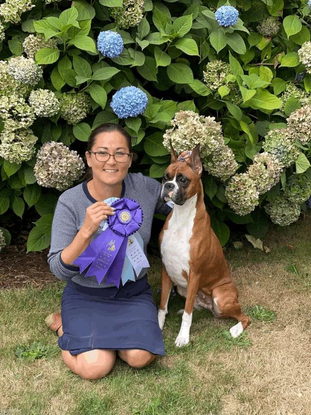 Black Rose Boxers in Washington | Boxer puppies | Good Dog