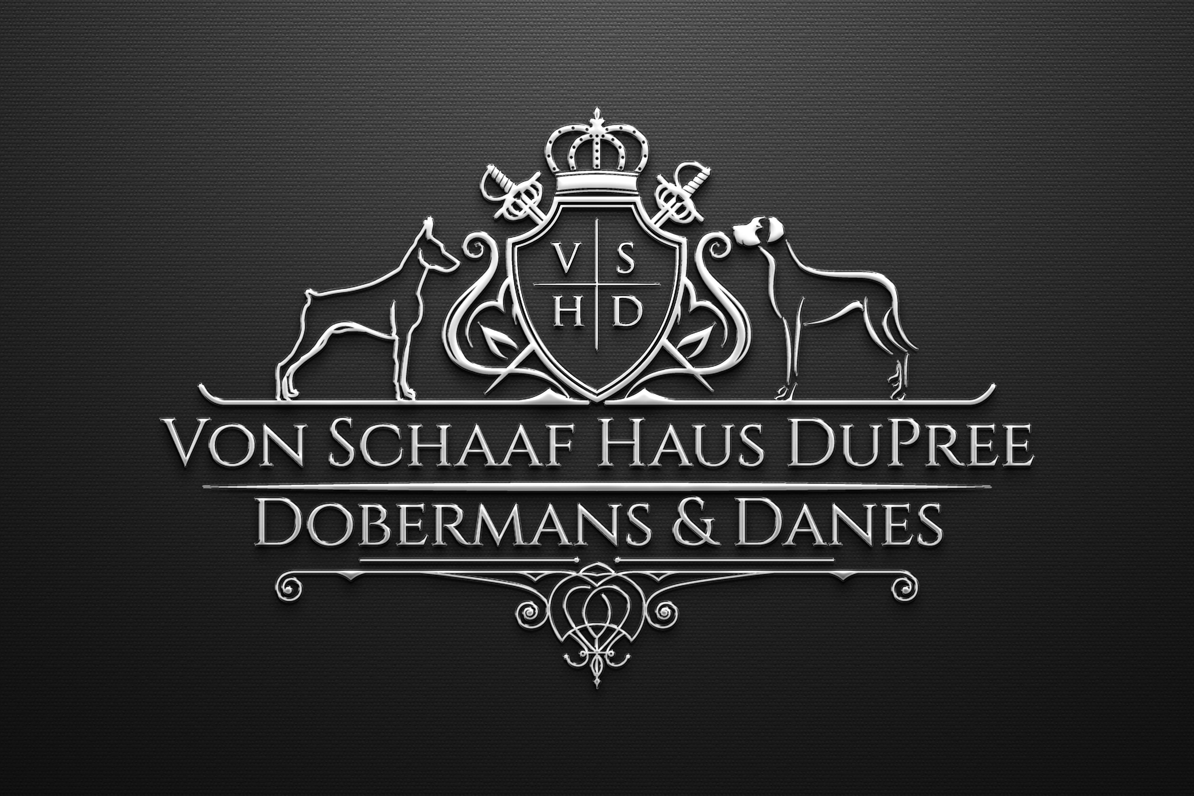 Von Schaaf Haus DuPree in Ohio | Doberman Pinscher and Great Dane ...