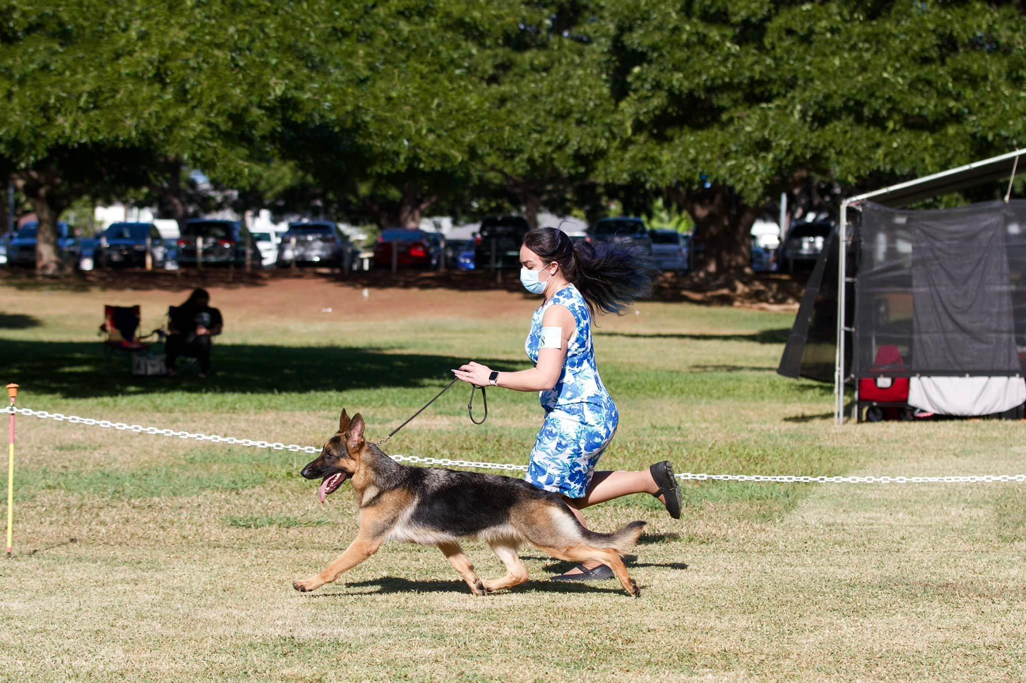 Round of Apaws Canines in California | Australian Shepherd, French ...