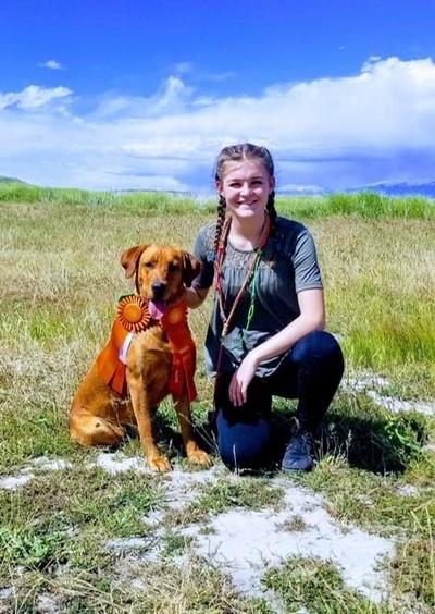 Kristen's Labs in Utah | Labrador Retriever puppies | Good Dog