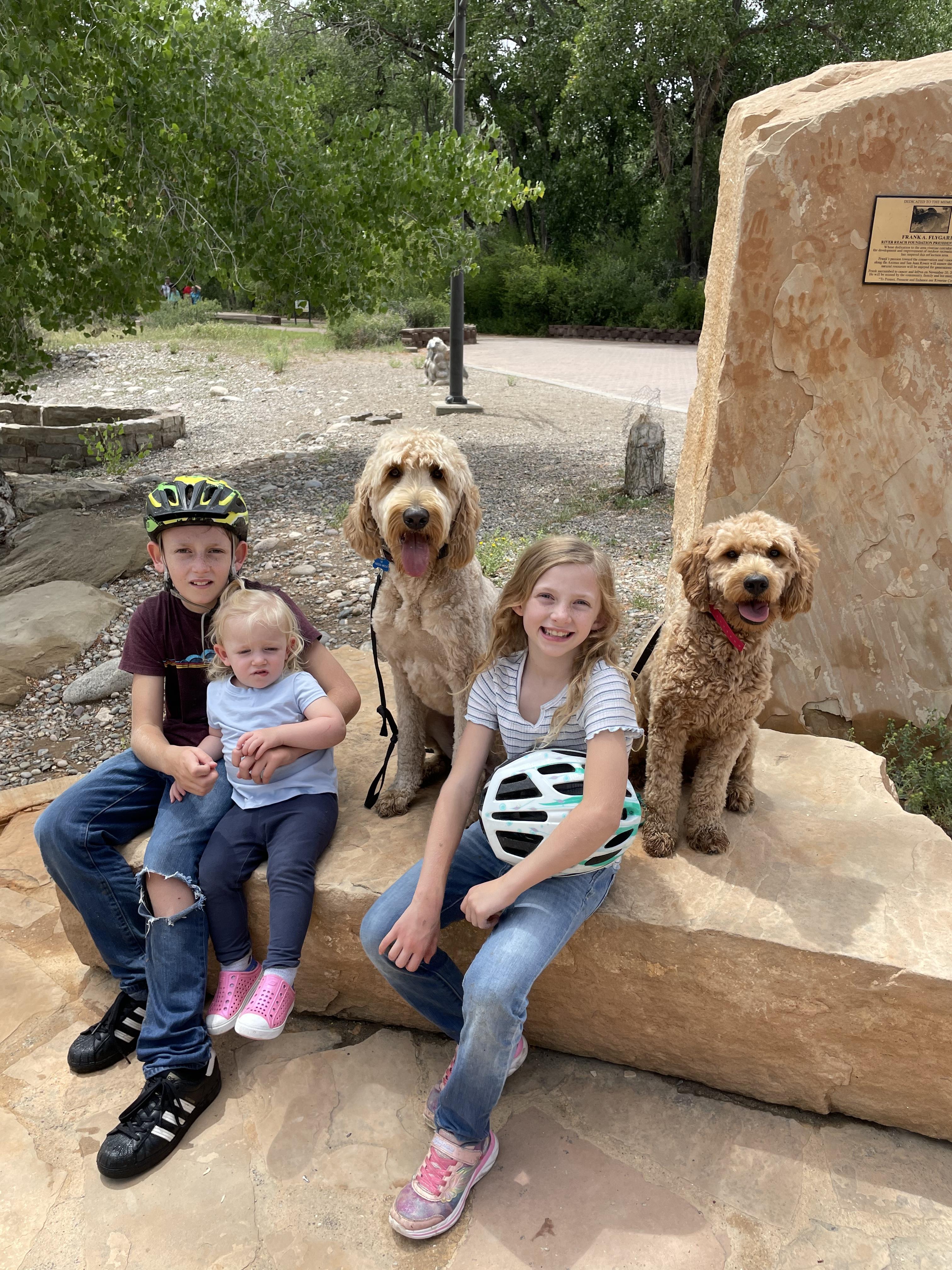 Golden Rule Doodles in New Mexico | Goldendoodle puppies | Good Dog