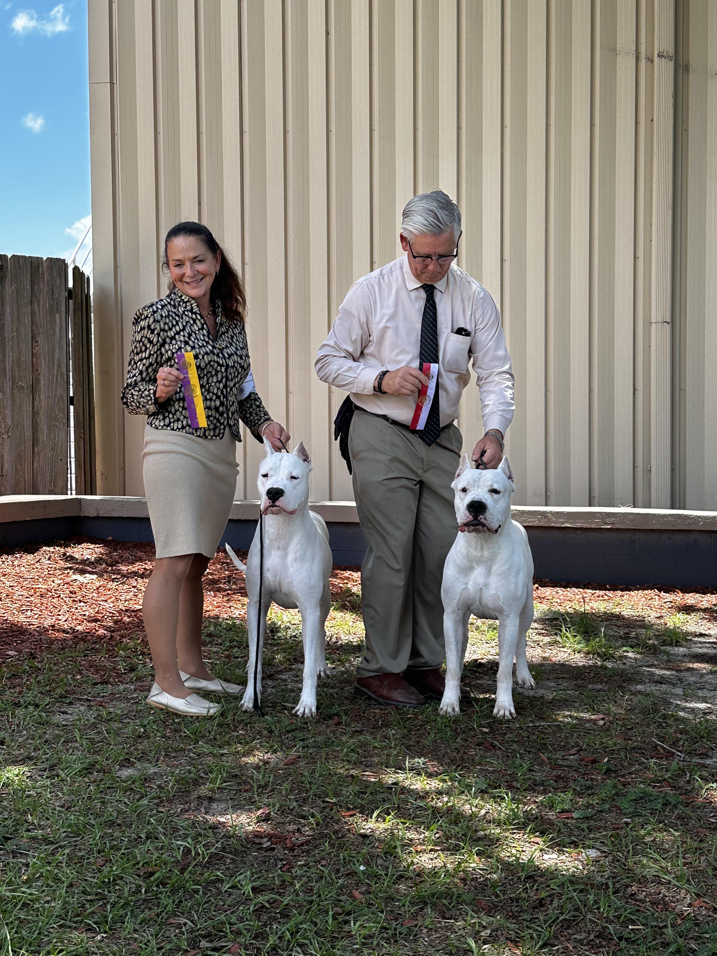 Bestiarius Kennels in Louisiana | Dogo Argentino puppies | Good Dog
