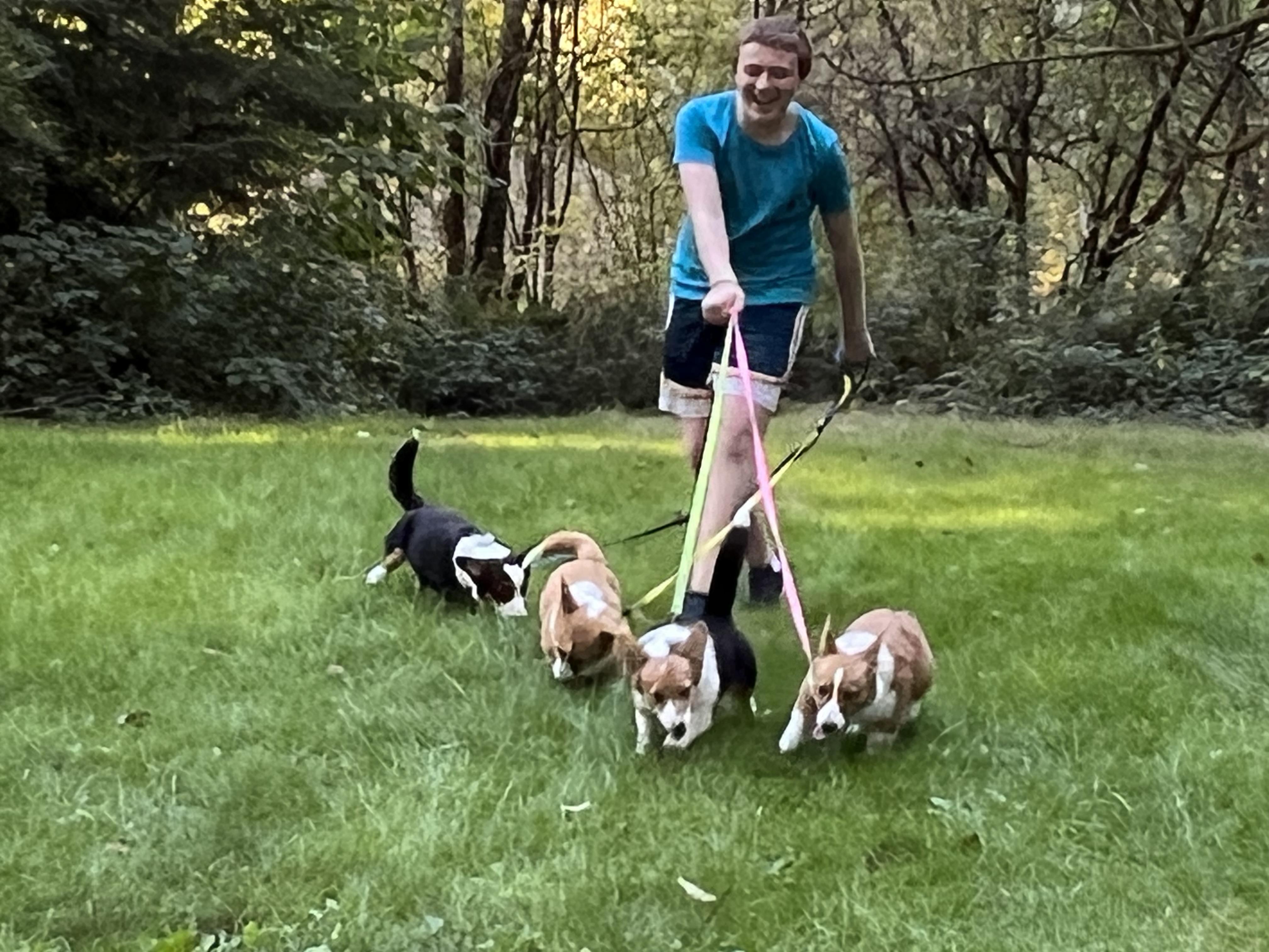 Happy Tails Corgi Farm in Arizona | Pembroke Welsh Corgi puppies | Good Dog