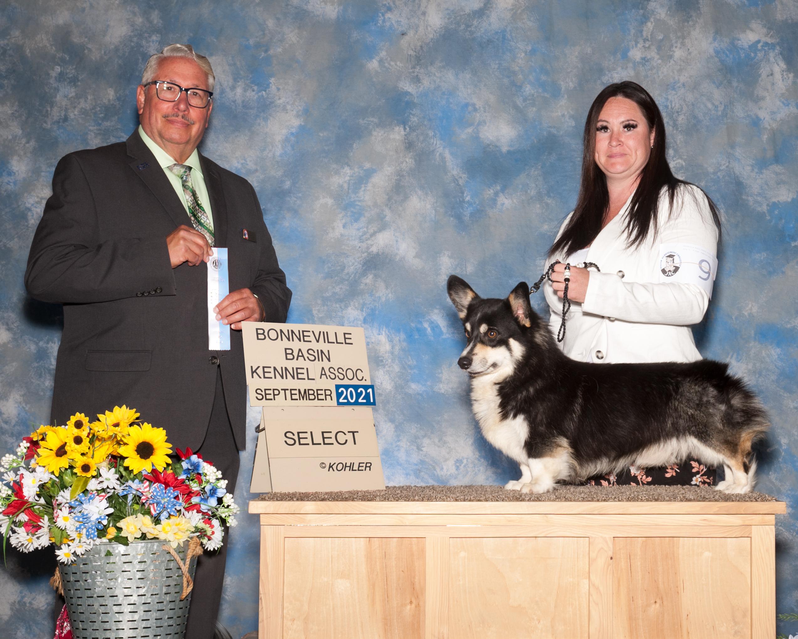 Blue Moon Farms in Utah | Pembroke Welsh Corgi puppies | Good Dog