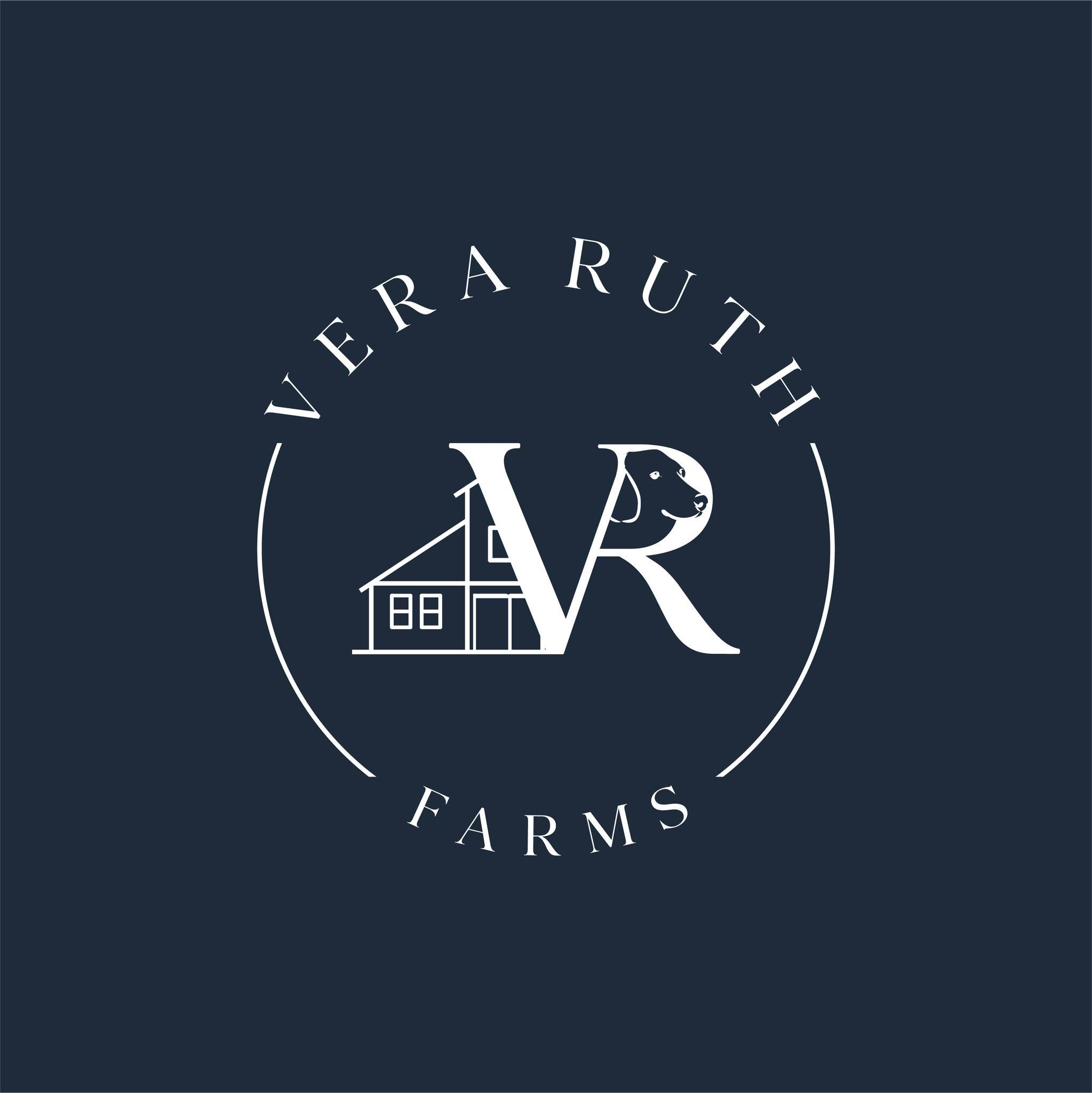 Vera Ruth Farms in Alabama | Dachshund puppies | Good Dog