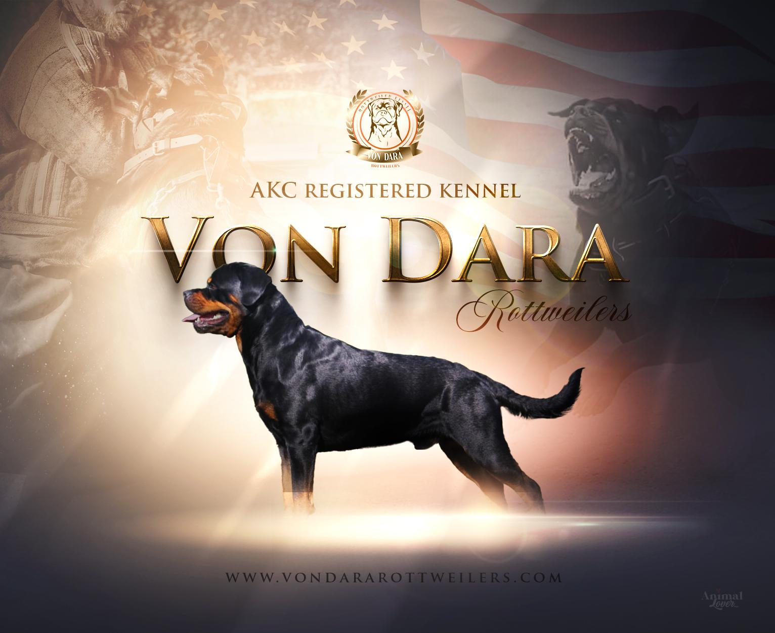 Von Dara Rottweilers in Virginia | Rottweiler puppies | Good Dog