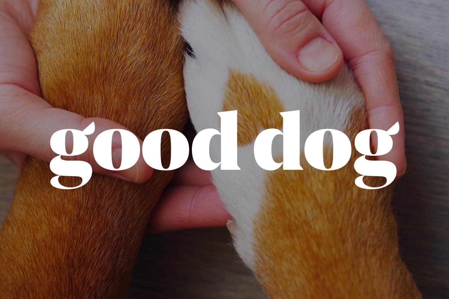 Good Breeder screening criteria