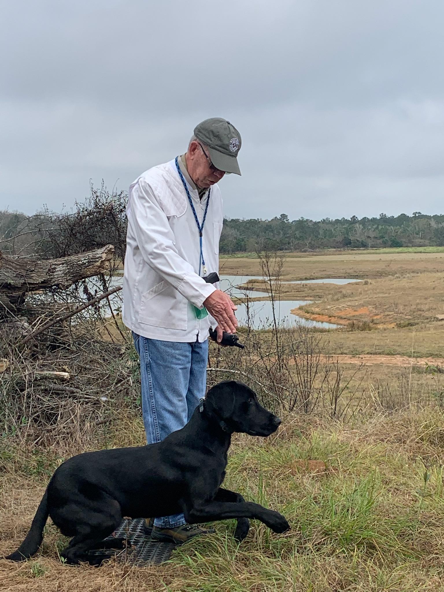Richard's Labrador Retrievers in Florida | Labrador Retriever puppies ...
