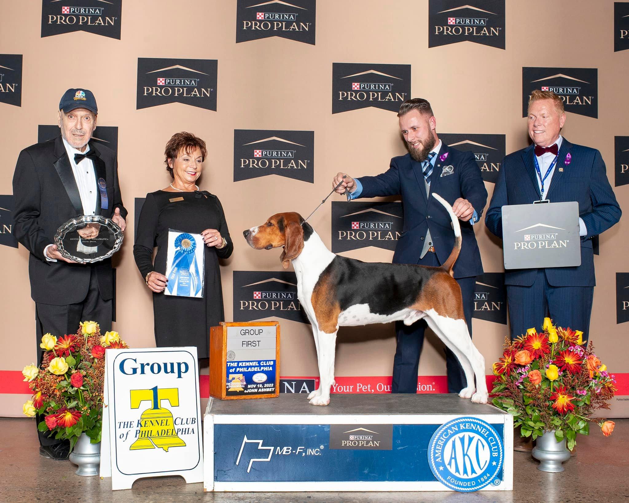 Lost Heritage Hounds in Kentucky | American Foxhound, Redbone Coonhound ...