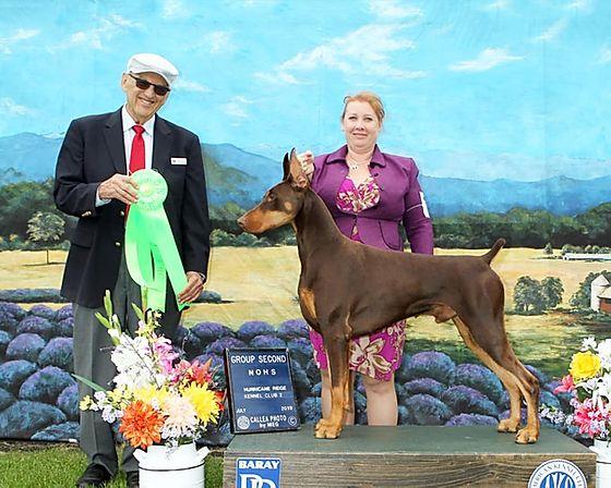 Day Hill Dobermans in Oregon | Doberman Pinscher puppies | Good Dog